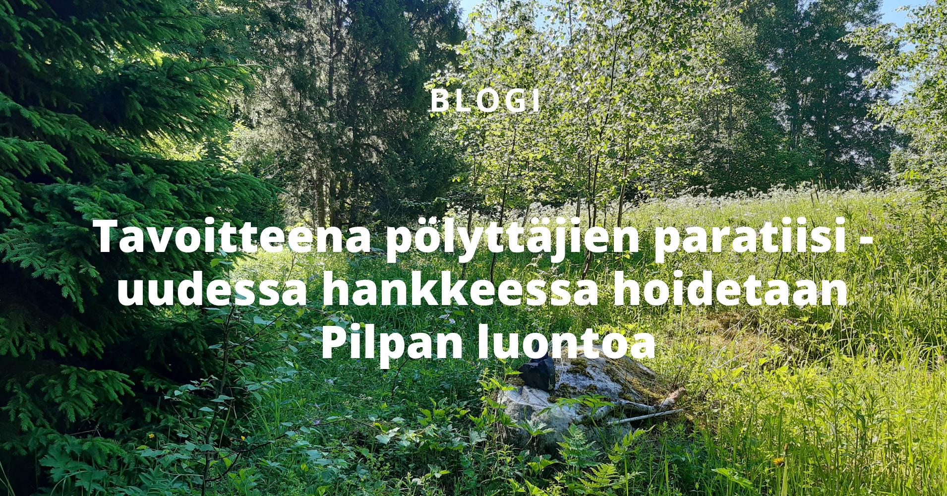 Tavoitteena pölyttäjien paratiisi - uudessa hankkeessa hoidetaan Pilpan ...