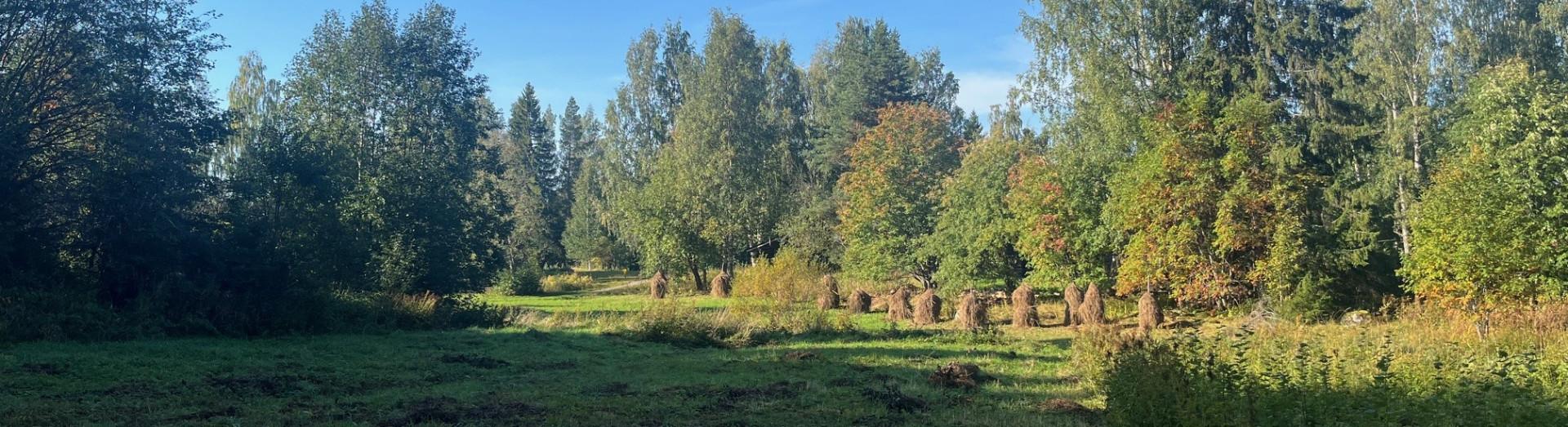 Hankkeen uutisia ja artikkeleita - Tapio