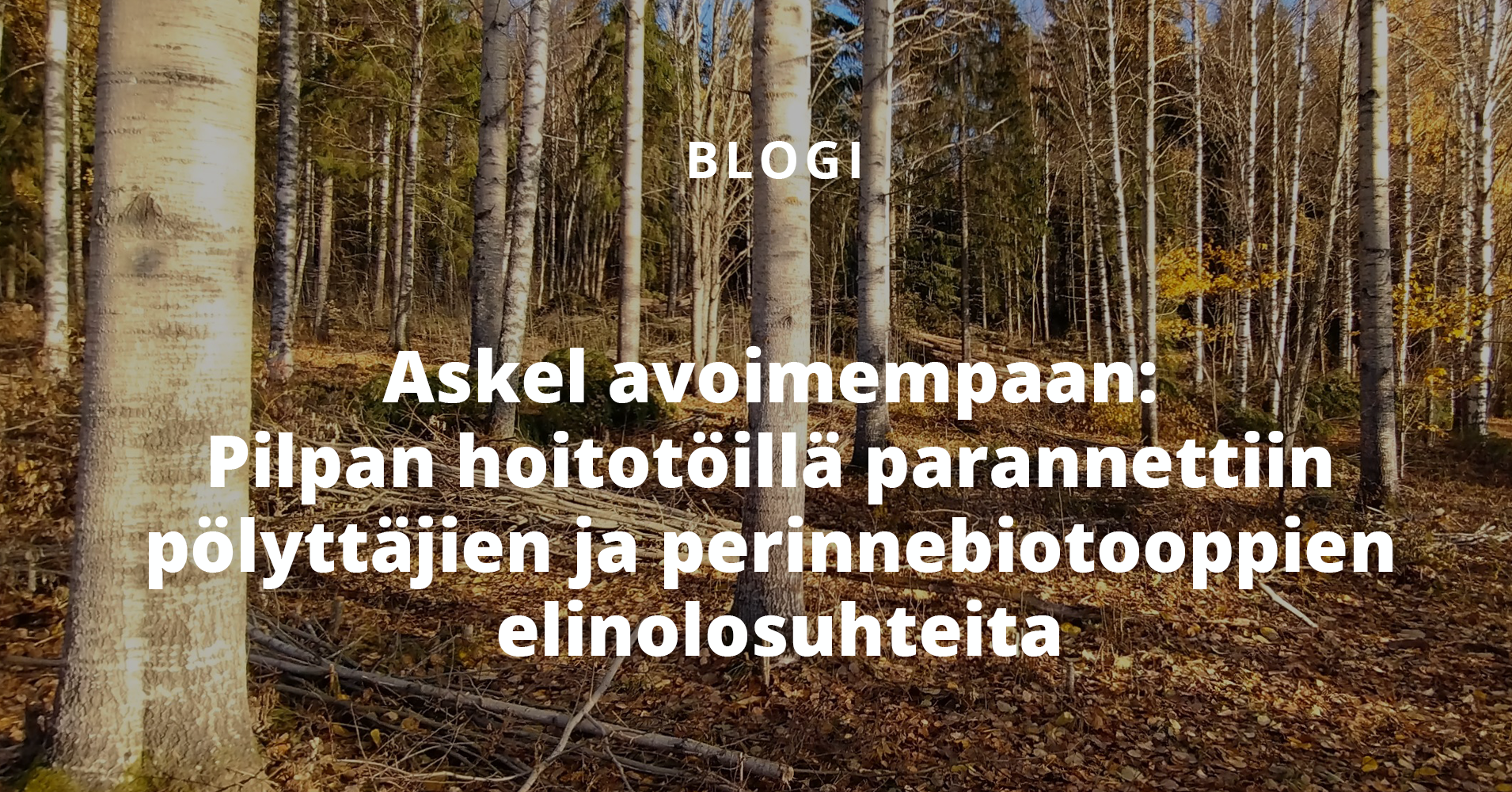 Askel avoimempaan: Pilpan hoitotöillä parannettiin pölyttäjien ja ...