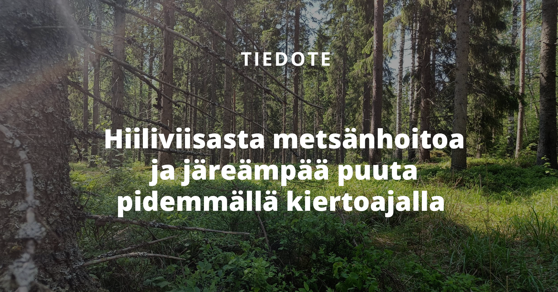 Hiiliviisasta metsänhoitoa ja järeämpää puuta pidemmällä kiertoajalla ...