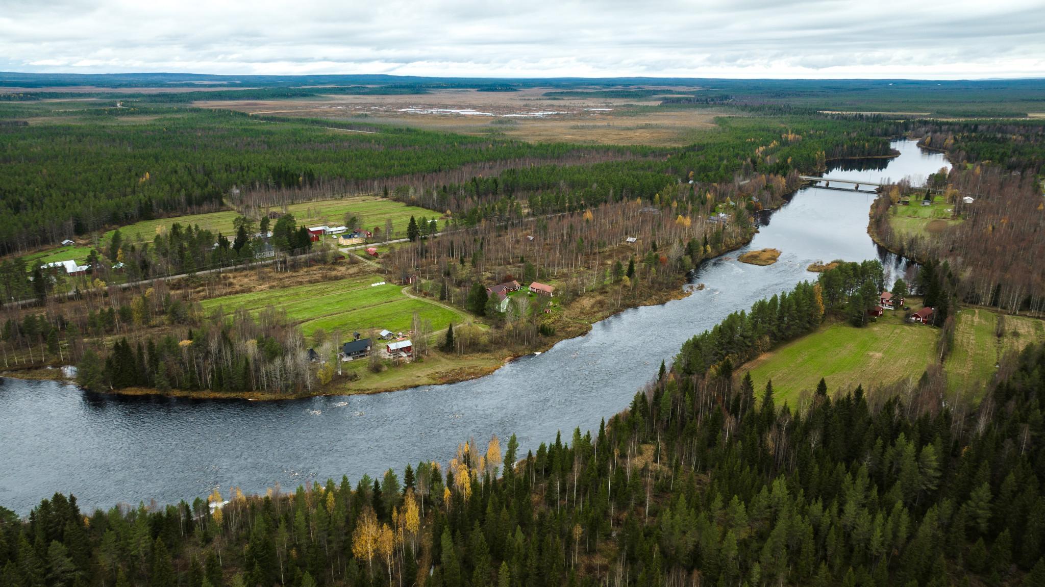 Simojoen lohikanta historiallisen heikko – laaja yhteistyö käynnistyy ...